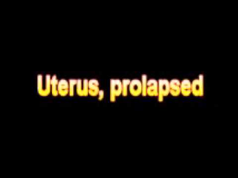 What Is The Definition Of Uterus, prolapsed Medical School Terminology Dictionary