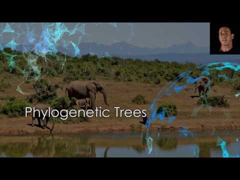 Phylogenetic Trees