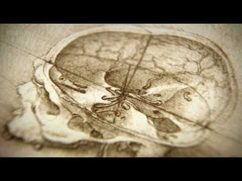 Part 1 of 2: BBC - The Beauty of Diagrams: Vitruvian Man