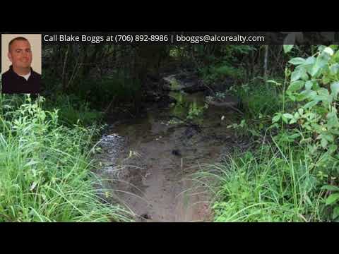0 Westmoreland Rd, Cleveland, GA 30528 - MLS #8814911