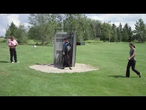 Bullet Schutzhund 2 Protection