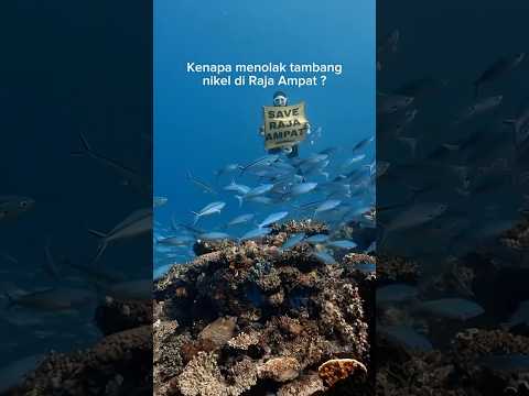 Tambang Nikel mengancam surga bawah laut Raja Ampat