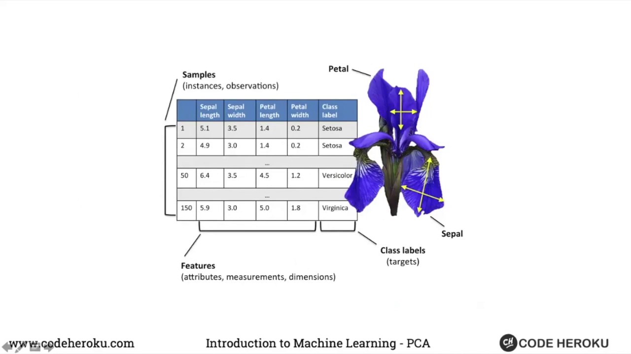 Principal Component Analysis in Python