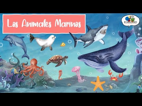 Los Animales Marinos para Niños (Marine Animals in Spanish for Kids)