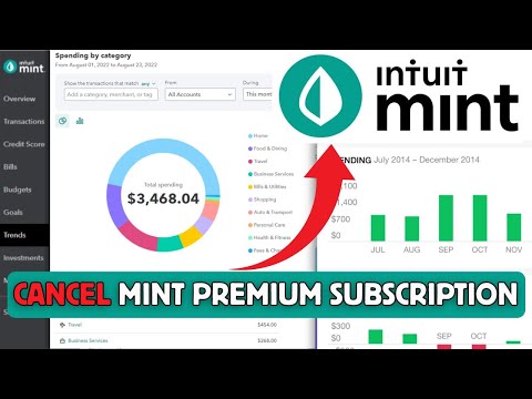 How to Cancel Mint Premium Subscription 2025?