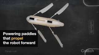 Videos - ASM International