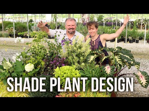 Garden Design Plant Combos for Shade - Southern Living Plant Collection