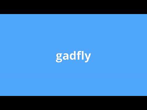 what is the meaning of gadfly