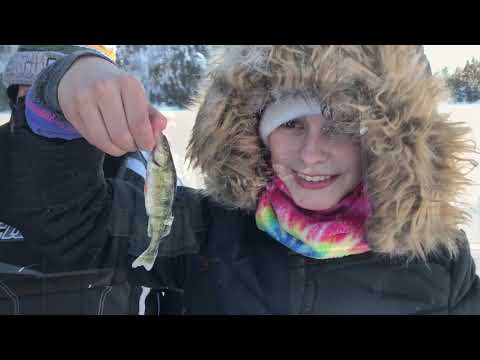 Wolf Ridge Winter 2019