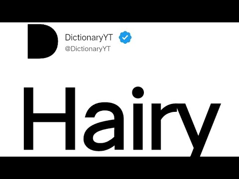 Hairy Meaning in English