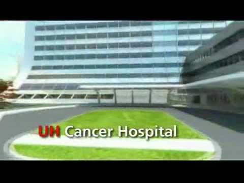 The Divison of Hematology & Oncology