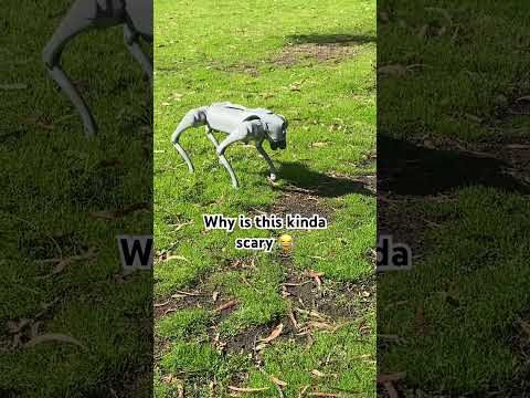 Immortal dog ???? #funny #freaky #cool #fascinating #weird