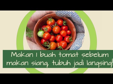 Makan 1 Buah Tomat Tubuh Langsing|Berdasarkan Penelitian Terbaru