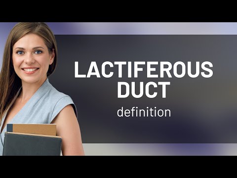 Lactiferous duct — LACTIFEROUS DUCT meaning