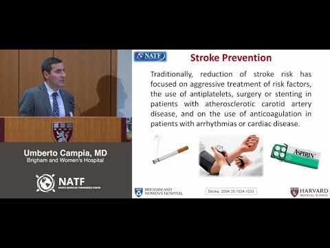 Stroke Burden, Epidemiology, and New Approaches to Stroke Prevention