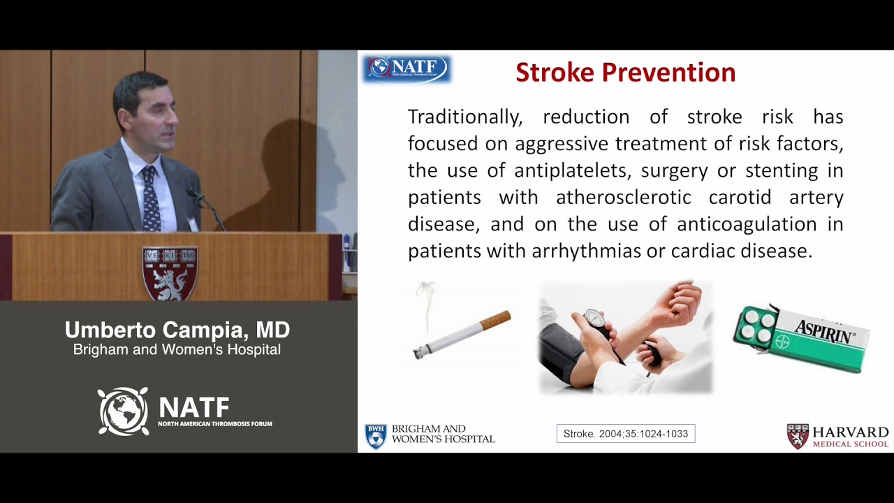 Stroke Burden, Epidemiology, and New Approaches to Stroke Prevention
