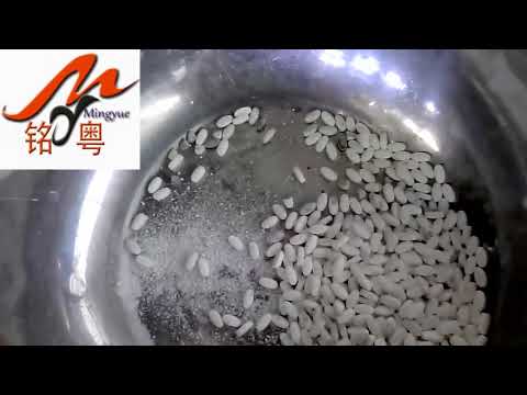 ZP15D zp17 /19 rotary tablet pill press machine for candy ,milk tablet ect