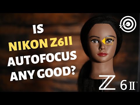 Nikon Z6 II: Real life low light autofocus examples (VOA060AE)