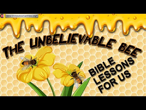 The Un-Believable Bee; Lessons from the Bible for us!
