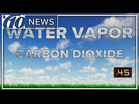 CO2 levels reach highest point since evolution of humans