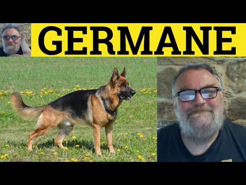 🔵 Germane Meaning - Germane Examples - Germane in a Sentence - Define Germane - Literary English