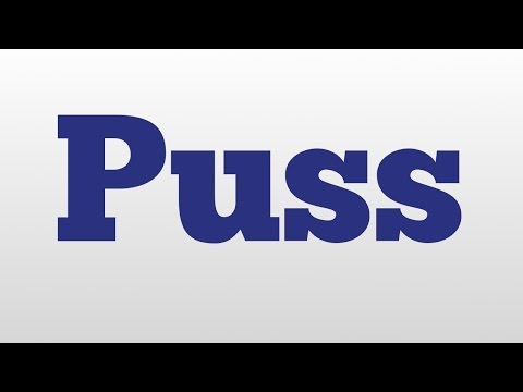 Puss meaning and pronunciation