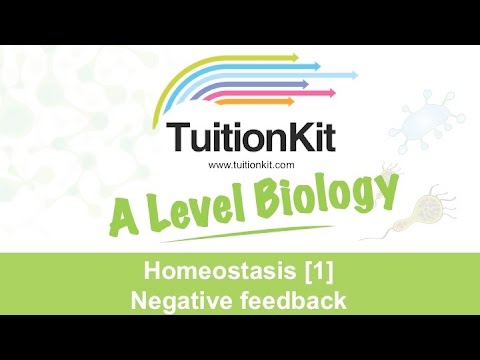 Homeostasis [1] Negative feedback (High band Biology) .mp4