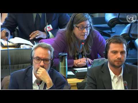 UN HRC, Anne Herzberg speaking on the definition of peaceful protest, March 20 2019