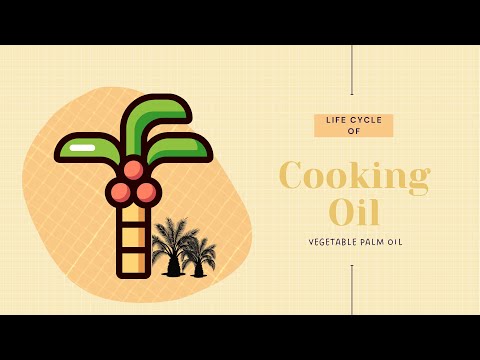 Life cycle assessment (LCA) of cooking oil