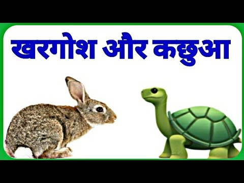 Story Of Rabbit and Tortoise in Hindi || Kidos Edu Point
