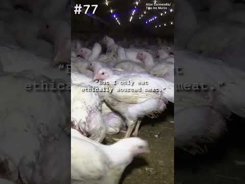This Is Why You Should Be Vegan