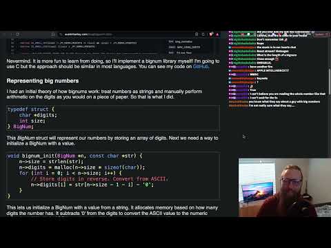How do BigNum Libraries Work??
