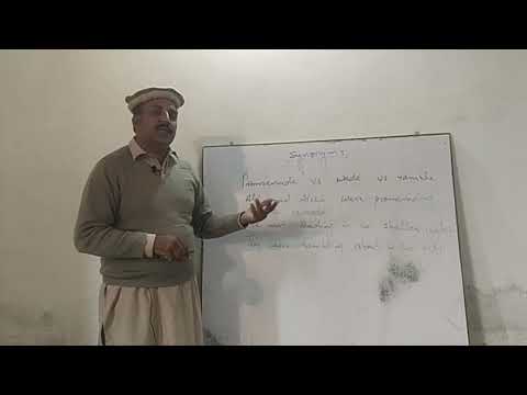 Synonyms Video 8 Promenade vs Wade vs Ramble