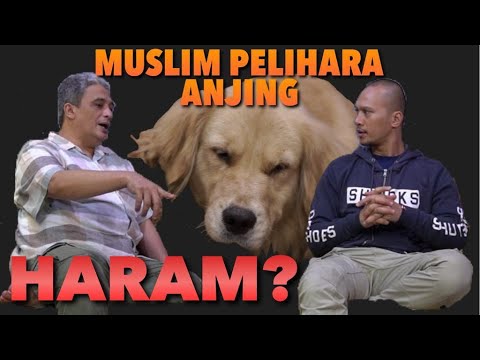MUSLIM BOLEH PELIHARA ANJING ? INI HUKUMNYA..