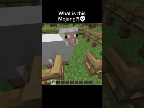 What is this Mojang?! #minecraft #fyp #shorts #youtube #video #memes