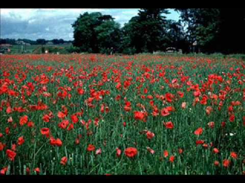 🇨🇭 Historia Szwajcarii na Eurowizji • 1981 • Peter, Sue & Marc po raz ...