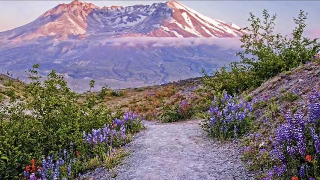 101 Strings Orchestra, Stardust