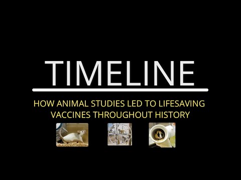 AMP: How Animal Studies Led to Lifesaving Vaccines Throughout History