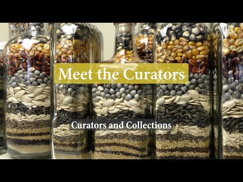 Meet the Curators from Ames, Iowa | Curators and Collections