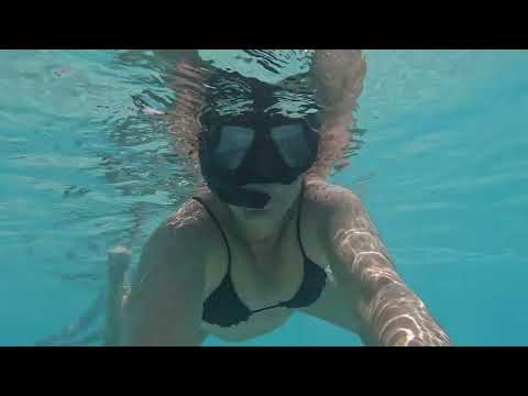 Curaçao - Klein Curaçao, mergulho 3 (dive 3) 4k