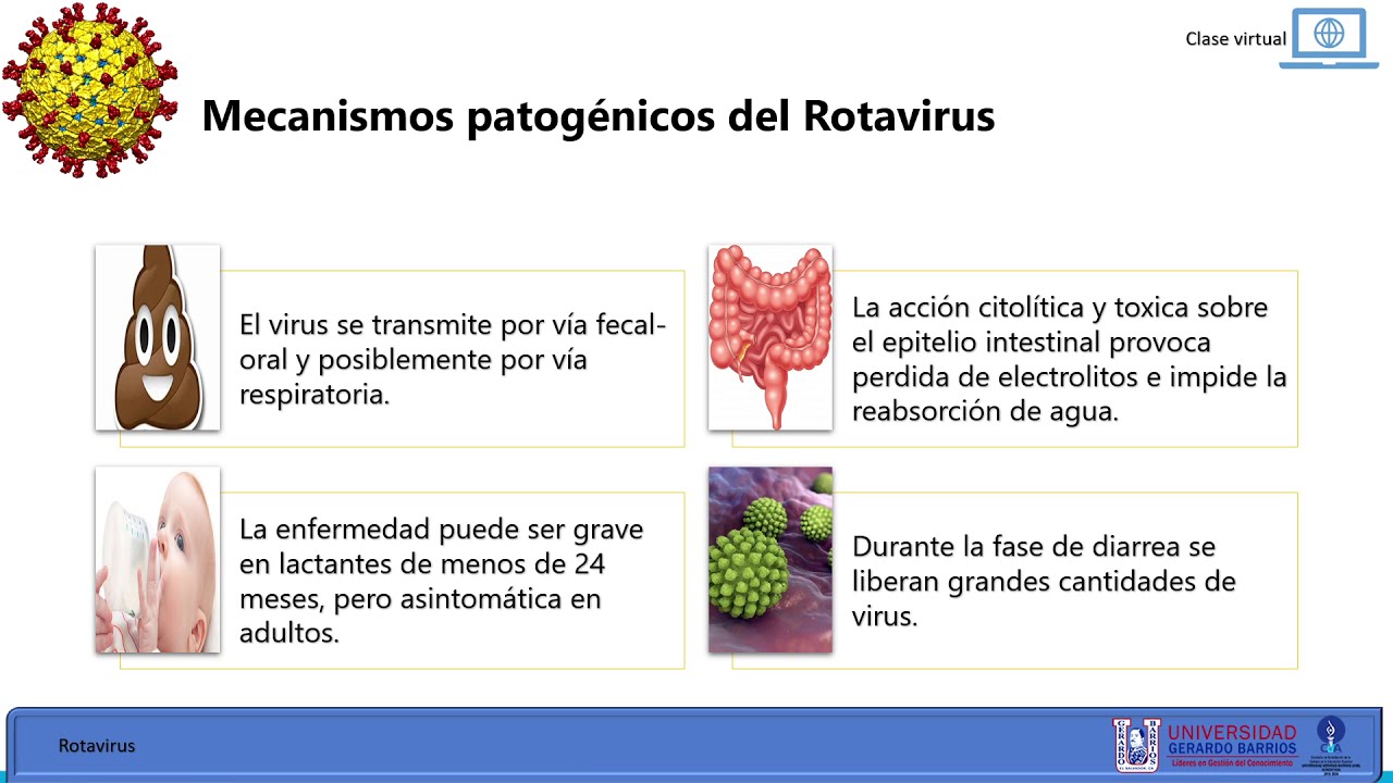 Clase 8LIC Rotavirus