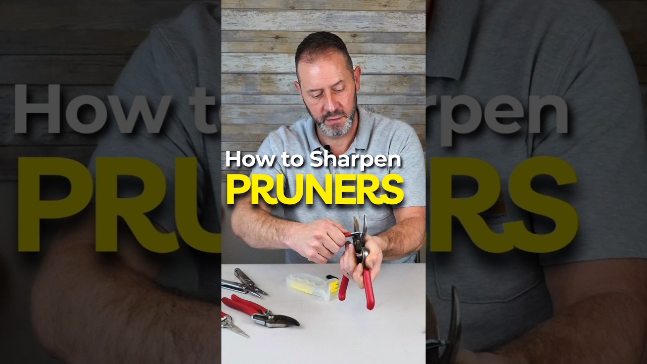 Make Your Garden Pruners Like New Again (EASY SHARPENING TIPS)