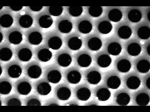 NIBIB Supports Research Leading to Novel Cancer Detection Technology