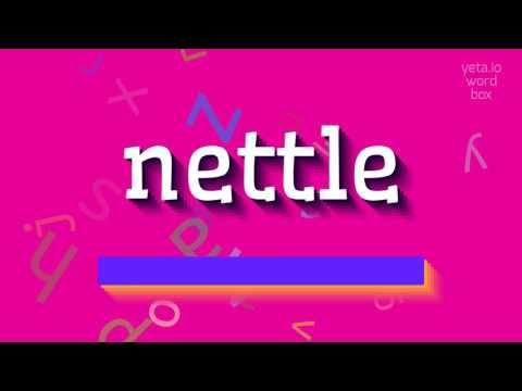 How to say "nettle"! (High Quality Voices)