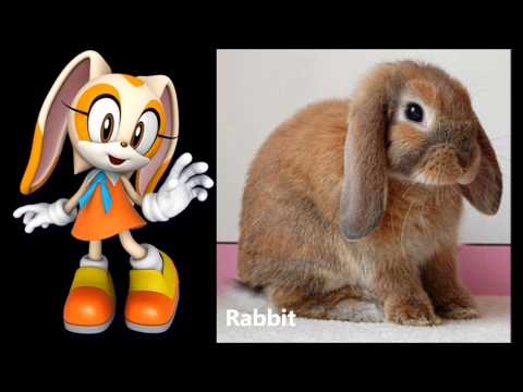 The Sonic Characters Real Life Comparisons