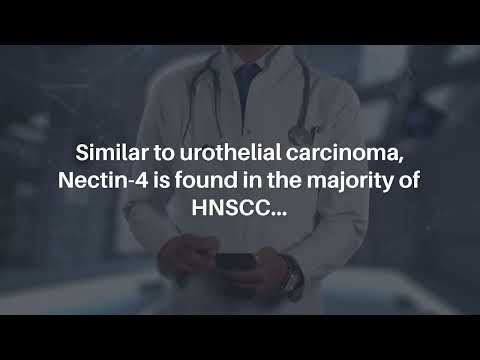 Nectin-4 is Widely Expressed in Head and Neck Squamous Cell Carcinoma | Oncotarget