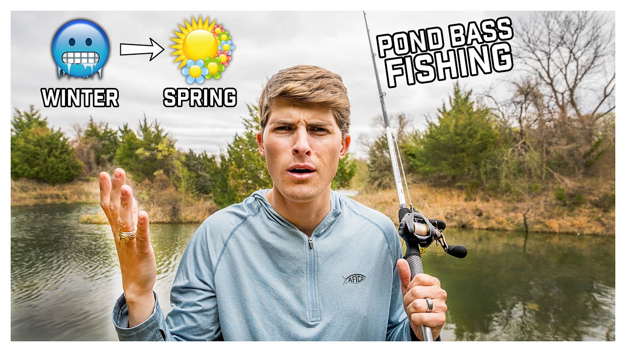 Does The PRE-SPAWN Exist In Ponds? (Spring Bass Fishing Tips)
