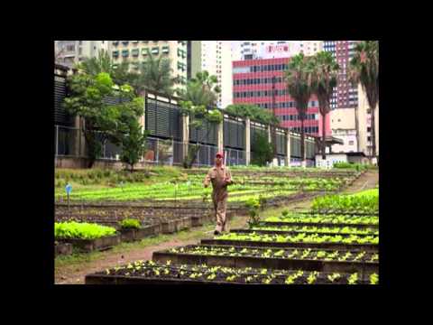 The importance of growing your own food locally: Xavier Fux at TEDxSanMigueldeAllende (2013)
