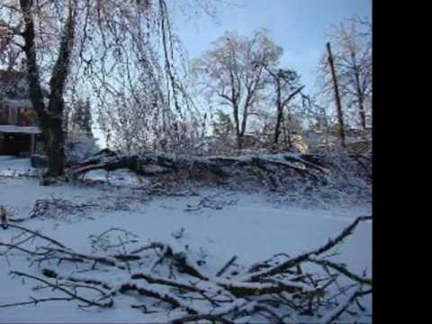 School closings in virginia, Wdbj7 weather, Hampton roads closings