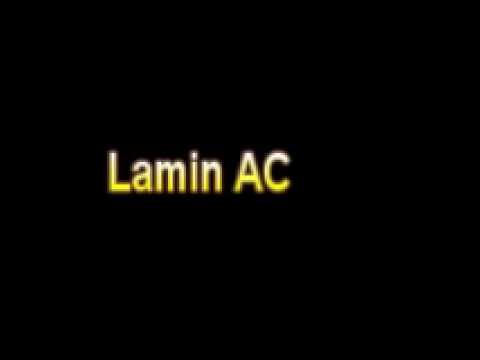 What Is The Definition Of Lamin AC - Medical Dictionary Free Online Terms
